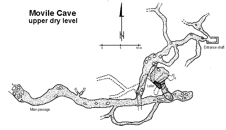 Movile Cave-Description