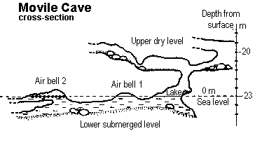 Movile Cave-Description